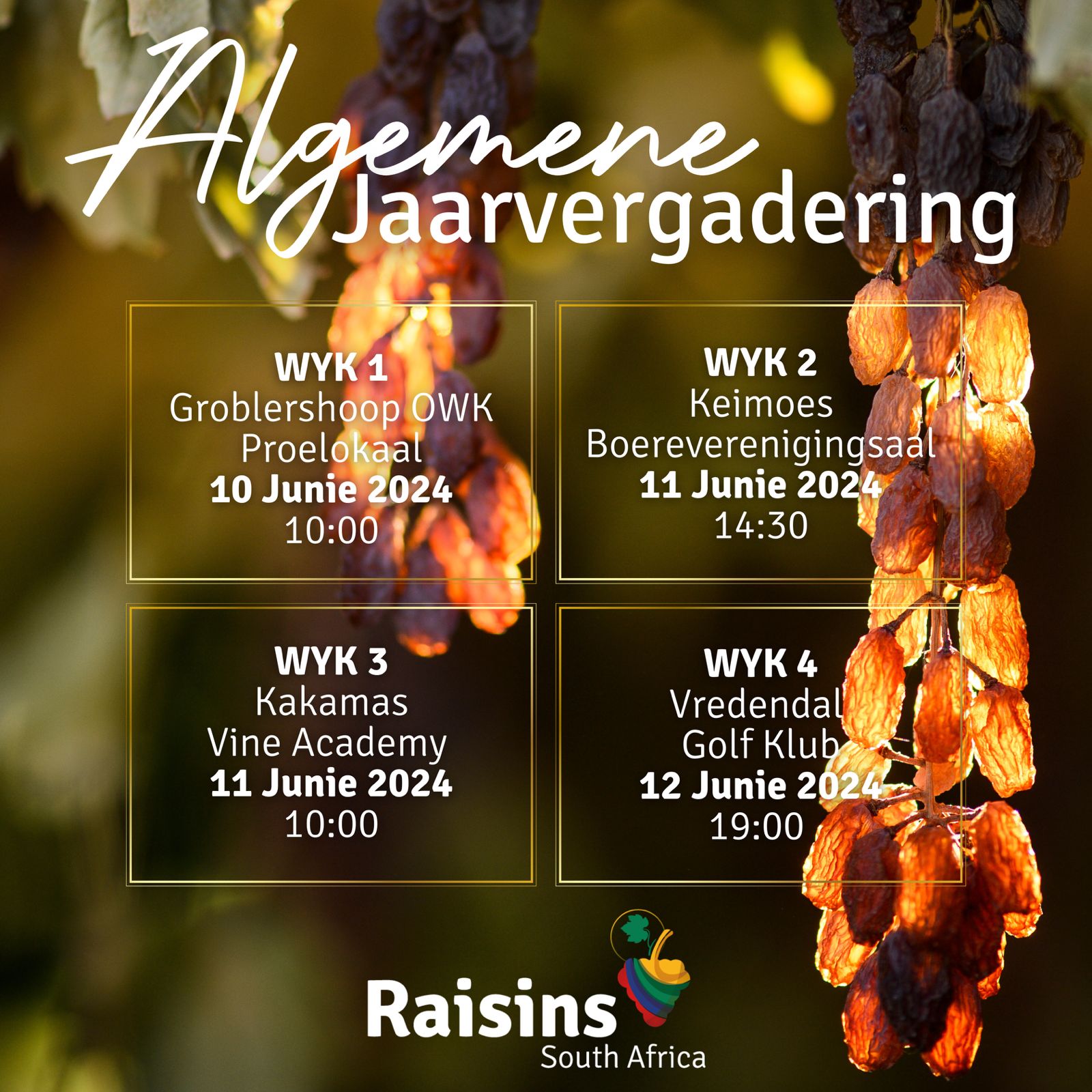 Raisins South Africa