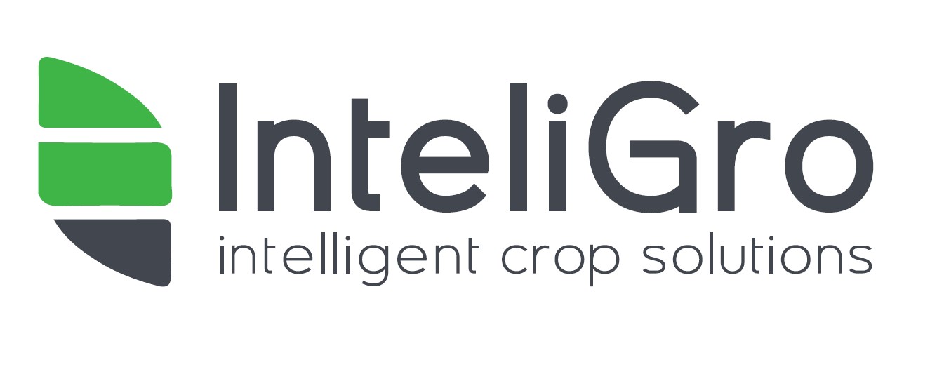 Raisins South Africa