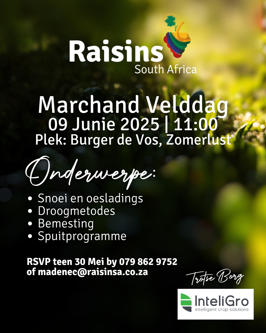 Raisins South Africa
